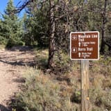 Burro Loop Trail, Colorado - 798 Reviews, Map | AllTrails
