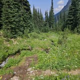 Berkeley Park Trail, Washington - 395 Reviews, Map | AllTrails