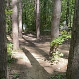 Luton Park Trail, Michigan - 1,149 Reviews, Map | AllTrails