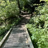 Wildside Trail, Washington - 199 Reviews, Map | AllTrails