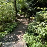 Wildside Trail, Washington - 199 Reviews, Map | AllTrails