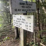 Mount Tom, Mount Field, Mount Willey and Mount Avalon Trail, New ...
