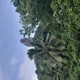 Cross Island Track and The Needle, Rarotonga, Cook Islands - 222 ...