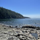 Washington Park Loop Road, Washington - 1,881 Reviews, Map | AllTrails