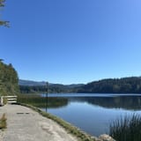 Lake Padden Singletrack, Washington - 1,575 Reviews, Map | AllTrails