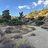 Panorama Loop, California - 3,072 Reviews, Map | AllTrails