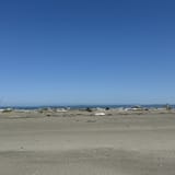 Damon Point State Park Trail, Washington - 509 Reviews, Map | AllTrails