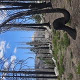 Ralston Peak, California - 1,685 Reviews, Map | AllTrails