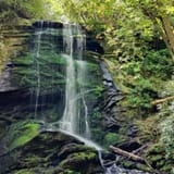 Catawba Falls River and Ridge Loop, North Carolina - 145 Reviews, Map ...