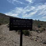 Mule Ear Spring, Texas - 471 Reviews, Map | AllTrails