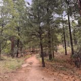 Fatmans Loop Trail, Arizona - 5,937 Reviews, Map | AllTrails