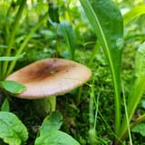 Heart Lake via South Boulder Creek Trail, Colorado - 1,163 Reviews, Map ...