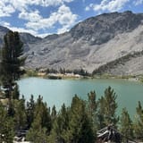 Barney Lake Trail, California - 1,317 Reviews, Map | AllTrails