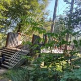 Wilson River Trail, Oregon - 822 Reviews, Map | AllTrails