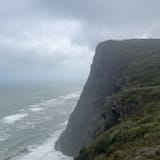 Mercer Bay Loop Track, Auckland, New Zealand - 796 Reviews, Map | AllTrails