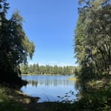 Lake Tabeaud Loop, California - 1,005 Reviews, Map | AllTrails