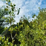 Peralta Trail, Geronimo's Cave, Lone Tree, and Bluff Springs Loop ...