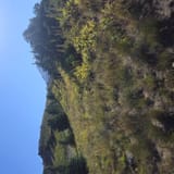 McNeil Point Trail, Oregon - 3,327 Reviews, Map | AllTrails