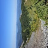 McNeil Point Trail, Oregon - 3,327 Reviews, Map | AllTrails