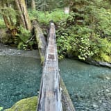 Century Sam Lake, British Columbia, Canada - 605 Reviews, Map | AllTrails