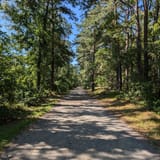 Barnegat Branch Trail, New Jersey - 259 Reviews, Map | AllTrails