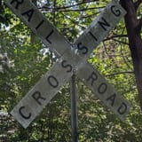 Barnegat Branch Trail, New Jersey - 250 Reviews, Map | AllTrails