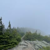 Mount Carrigain via Signal Ridge Trail, New Hampshire - 3,000 Reviews ...
