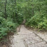Parnell Tower Trail, Wisconsin - 956 Reviews, Map | AllTrails
