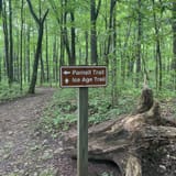 Parnell Tower Trail, Wisconsin - 956 Reviews, Map | AllTrails