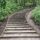 Parnell Tower Trail, Wisconsin - 956 Reviews, Map | AllTrails