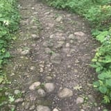 Parnell Tower Trail, Wisconsin - 956 Reviews, Map | AllTrails