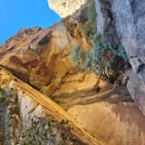 Ice Box Canyon Trail, Nevada - 3,350 Reviews, Map | AllTrails