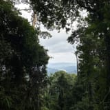 Mount Angsi, Negeri Sembilan, Malaysia - 1,048 Reviews, Map | AllTrails