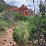 Bell Trail, Arizona - 3,574 Reviews, Map | AllTrails