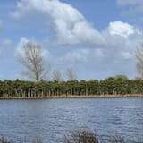 Kainui Lake Loop, Waikato, New Zealand - 99 Reviews, Map | AllTrails