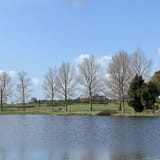 Kainui Lake Loop, Waikato, New Zealand - 99 Reviews, Map | AllTrails