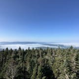 Magalloway Mountain, New Hampshire - 562 Reviews, Map | AllTrails