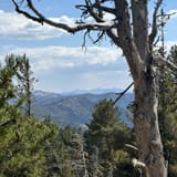 Chickadee Ridge via Tahoe Rim Trail, Nevada - 2,860 Reviews, Map ...