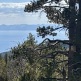 Chickadee Ridge via Tahoe Rim Trail, Nevada - 2,860 Reviews, Map ...