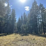Chickadee Ridge via Tahoe Rim Trail, Nevada - 2,860 Reviews, Map ...