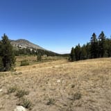Chickadee Ridge via Tahoe Rim Trail, Nevada - 2,860 Reviews, Map ...