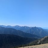 Mount Townsend Trail, Washington - 2,134 Reviews, Map | AllTrails
