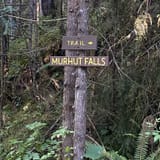 Murhut Falls Trail, Washington - 981 Reviews, Map | AllTrails