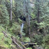 Murhut Falls Trail, Washington - 981 Reviews, Map | AllTrails