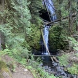 Murhut Falls Trail, Washington - 981 Reviews, Map | AllTrails