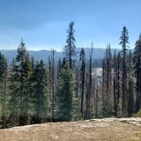 Muir Grove Trail, California - 411 Reviews, Map | AllTrails