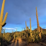 Valley View Overlook Trail, Arizona - 1,506 Reviews, Map | AllTrails
