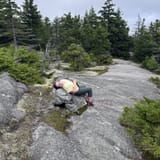 Mount Cardigan Loop Trail, New Hampshire - 2,407 Reviews, Map | AllTrails