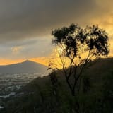 Mt Louisa Walking Track, Queensland, Australia - 231 Reviews, Map ...