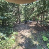 North Fork Big Thompson River Trail Via Dunraven Trailhead, Colorado ...